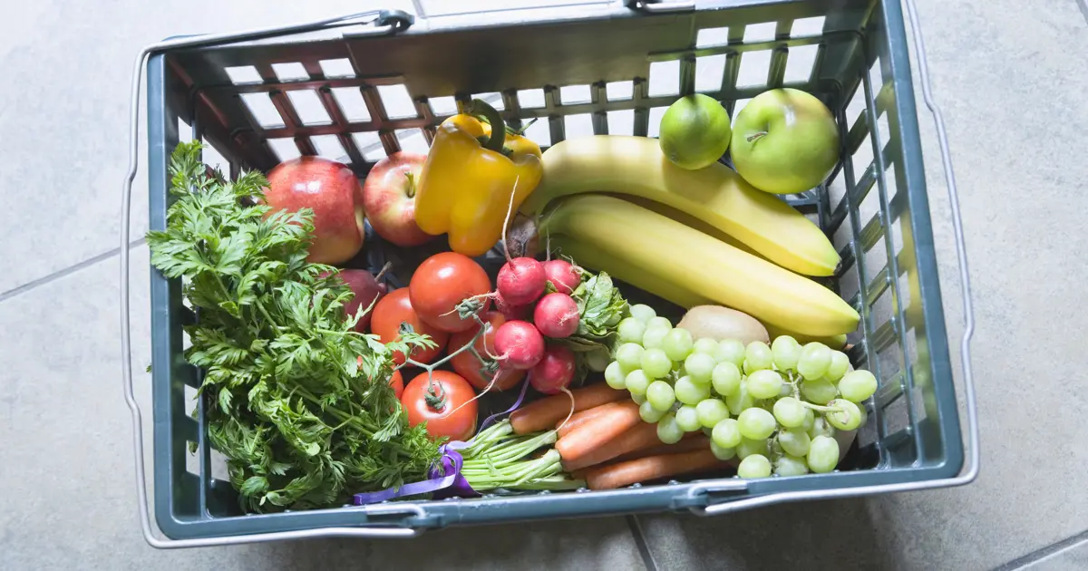 Special diets & feeding methods